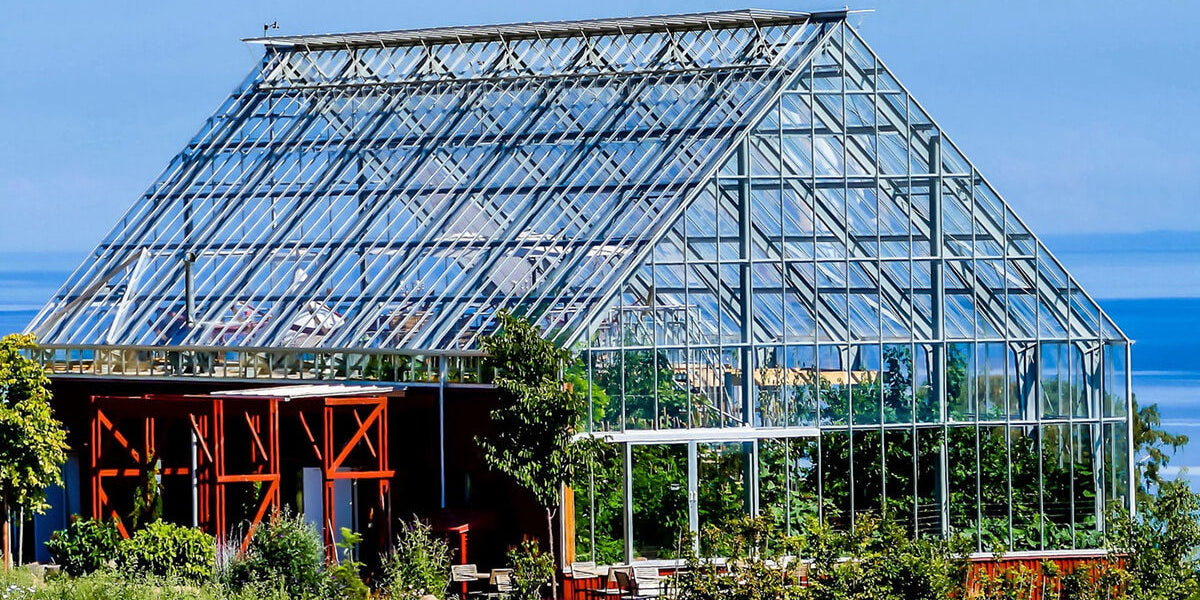 Why Every Garden Needs a Greenhouse – Practical Benefits