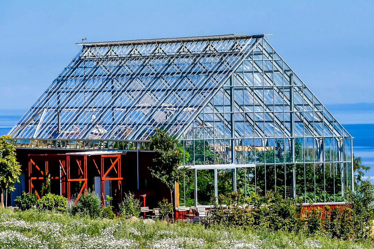 Why Every Garden Needs a Greenhouse – Practical Benefits
