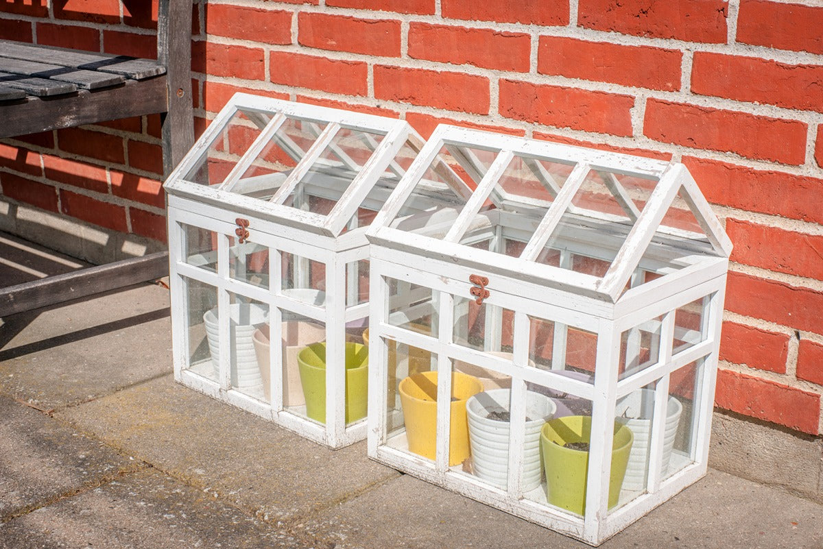 How To Use A Mini Greenhouse For Beginners: A Guide