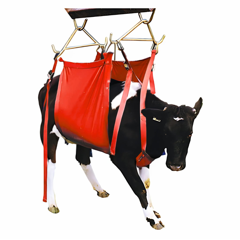 Cow Lifts