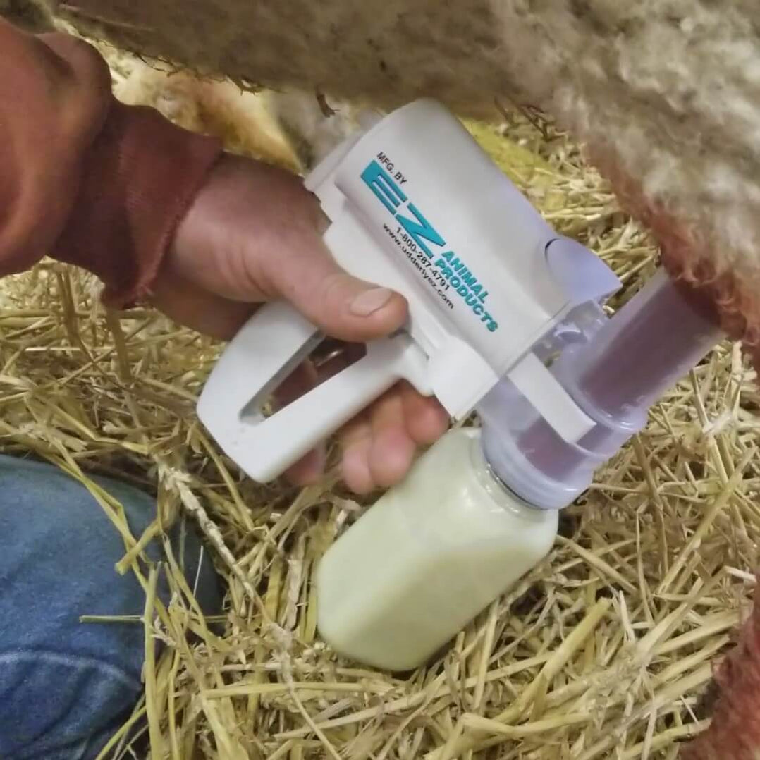 Milking Machine for Sheep | Udderly EZ