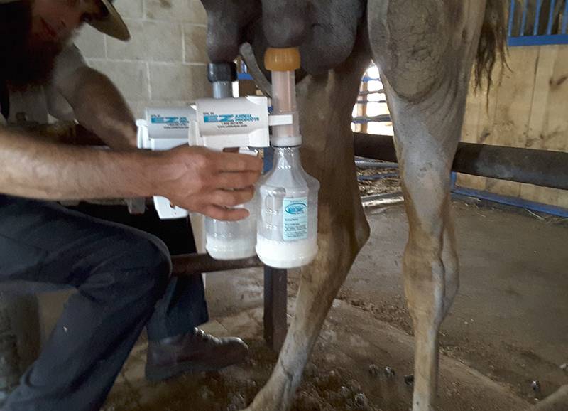 Portable Camel Milking Machine | Udderly EZ